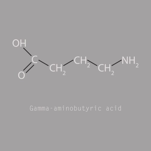 Glutamic amino acid molecule Royalty Free Vector Image