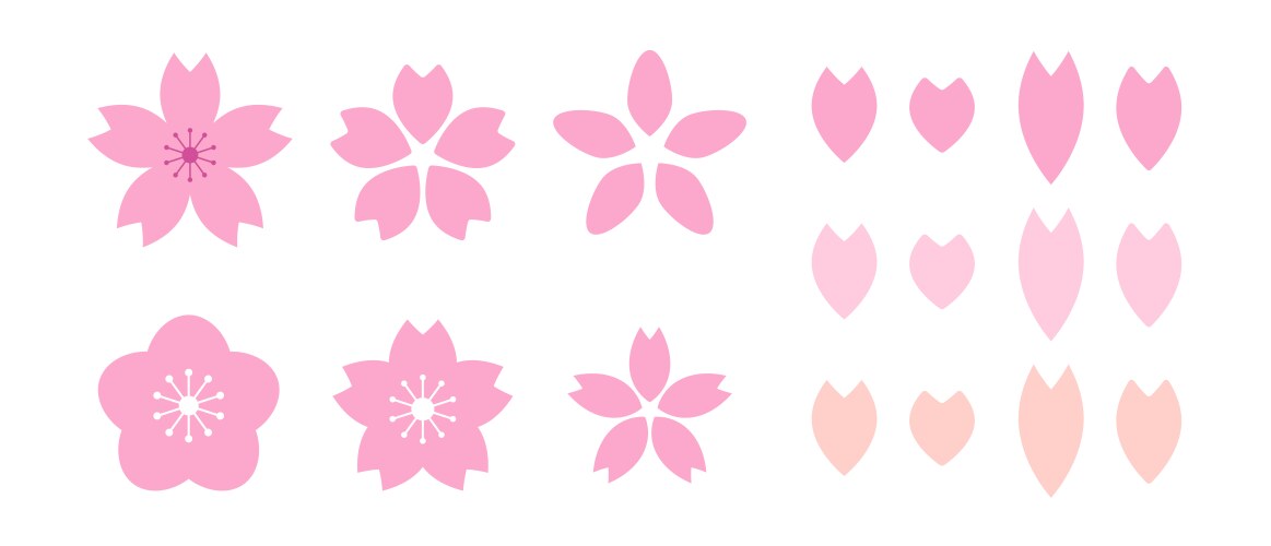 Cherry blossom flower icon set Royalty Free Vector Image