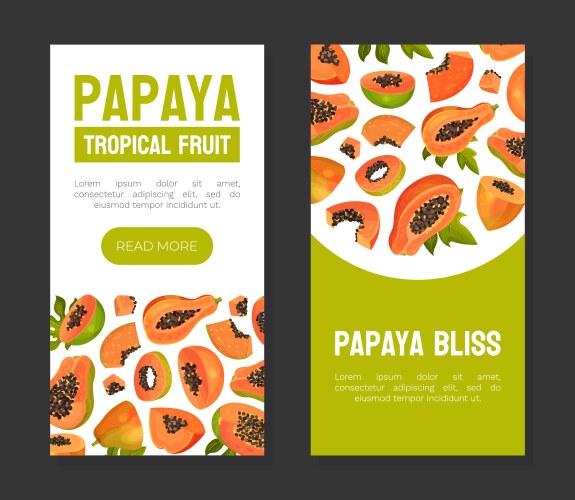 Papaya fruit label design with cut section Vector Image