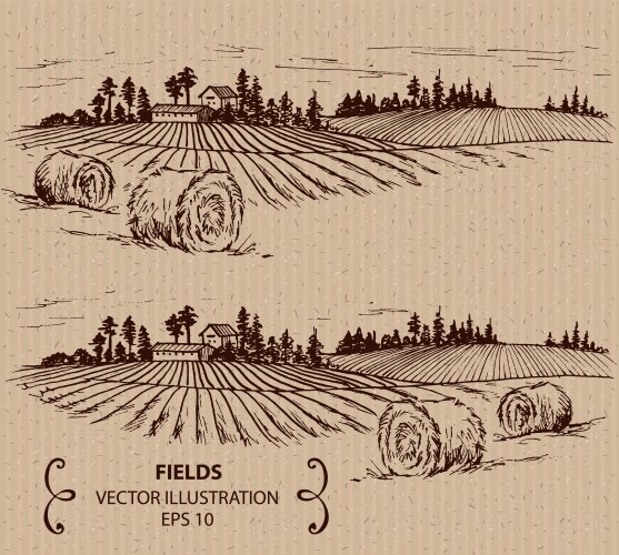 Hay Vector Images (over 19,000)