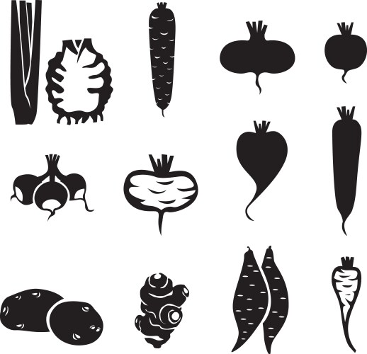 Roots Vector Images (over 91,000)