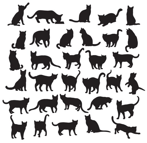 Cat Vector Images (over 360,000)