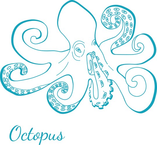 Octopus Line Drawing Vector Images (over 2,100)