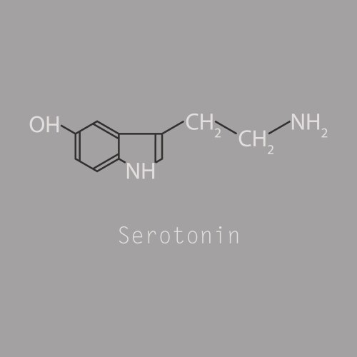 Serotonin neurotransmitter molecule skeletal Vector Image