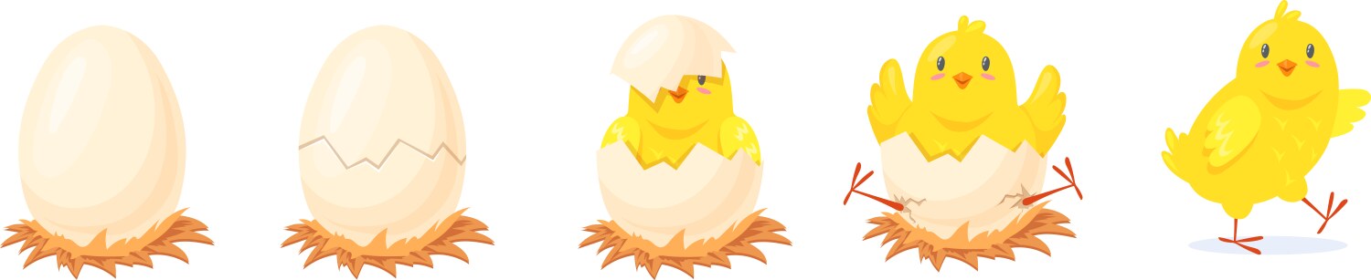Chick Vector Images (over 36,000)