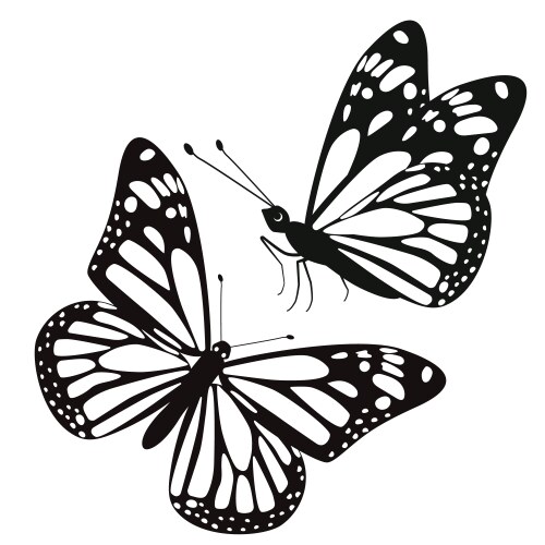 Simple Butterfly Clip Art Vector Images (over 780)