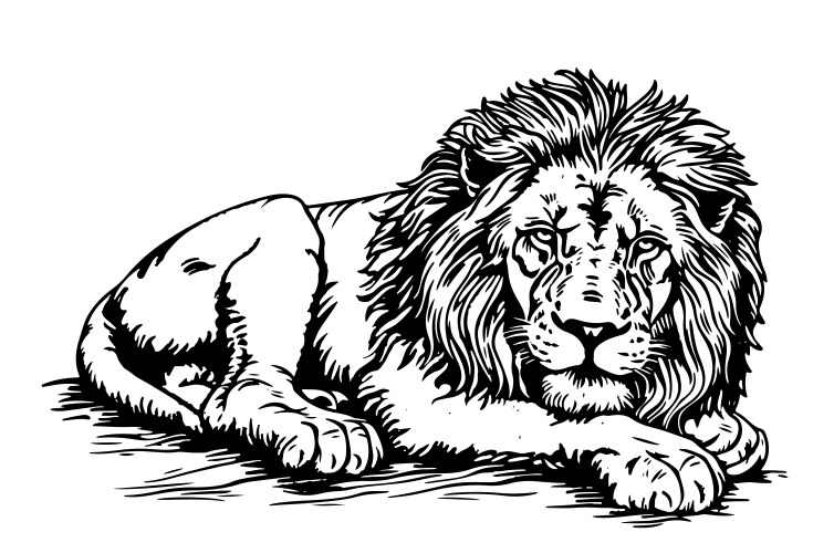 African Animals Line Drawing Vector Images (over 7,300)