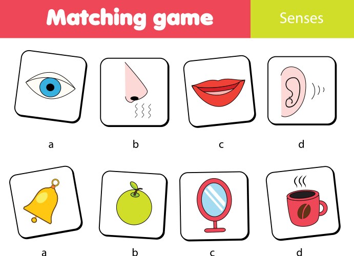 Matching children educational game match objects Vector Image