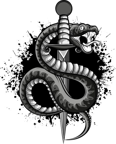 Snake and dagger on white Royalty Free Vector Image