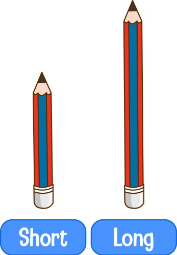 Opposite adjectives words with short and tall Vector Image