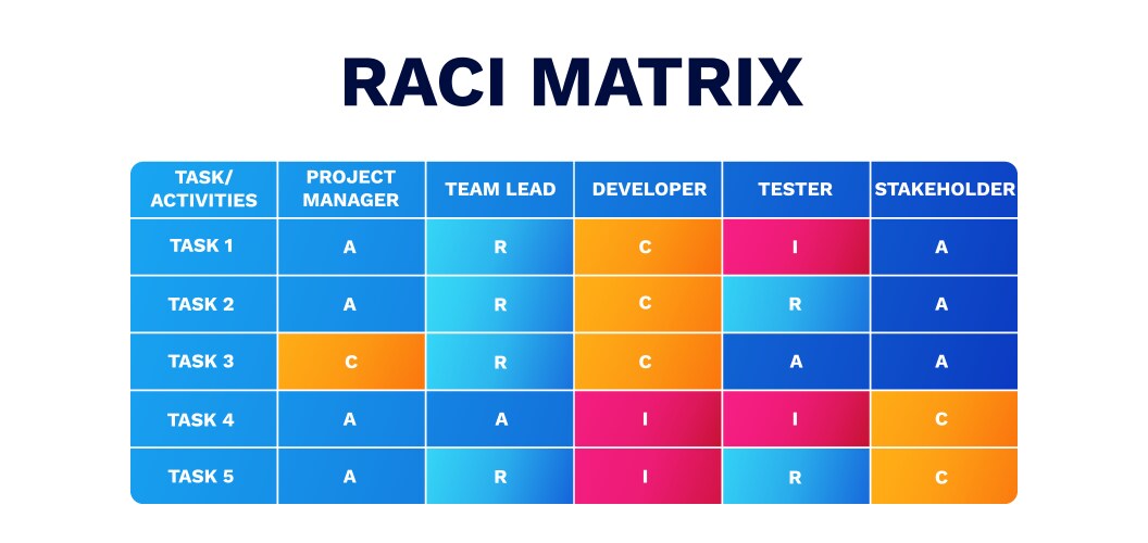 Raci matrix management with accountable Royalty Free Vector