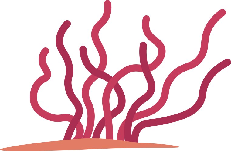 Seaweed with long leaves sea or ocean bottom Vector Image