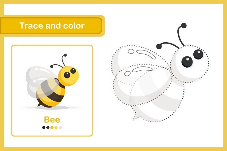 Drawing and vocabulary worksheet trace colour Vector Image