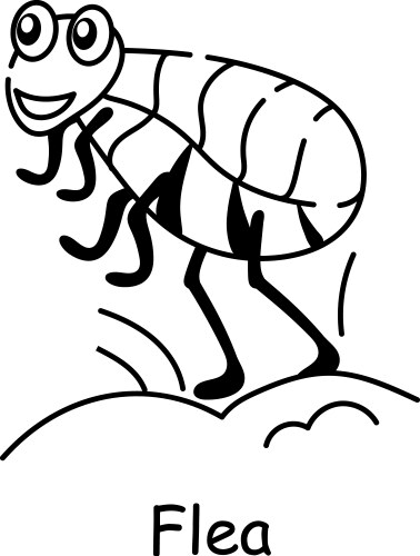 Flea Drawing Vector Images (over 1,000)