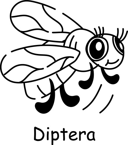 Diptera Vector Images (over 120)