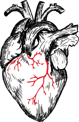 Heart Vector Images (over 1.4 million)