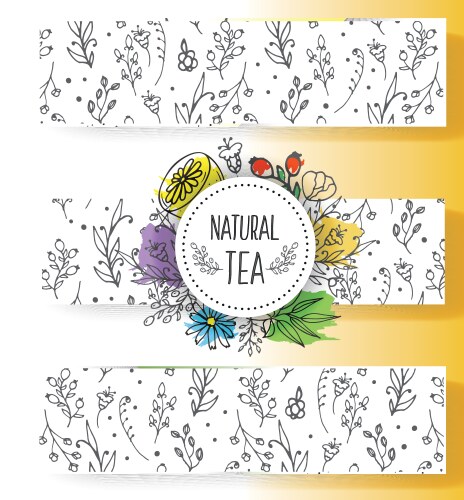 Herbal tea poster design with cinnamon mint Vector Image