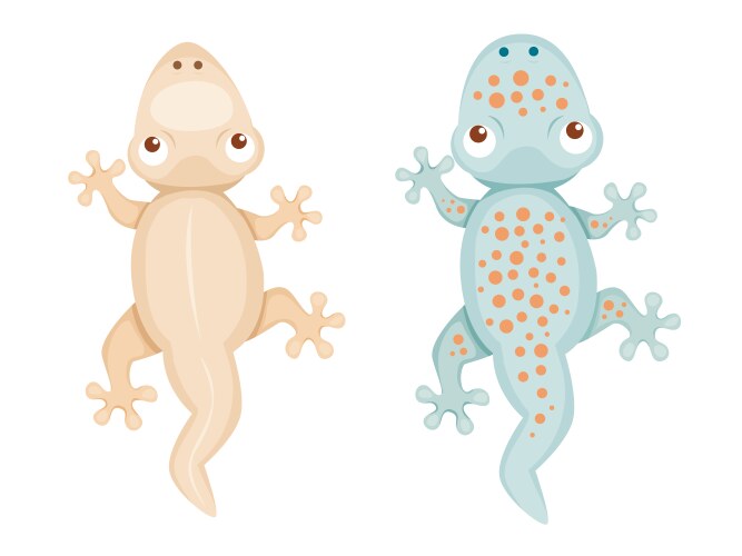 Gecko Vector Images (over 5,700)