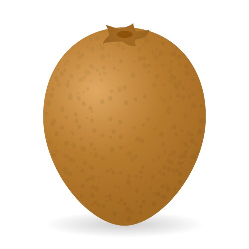 Sapodilla Vector Images (over 470)