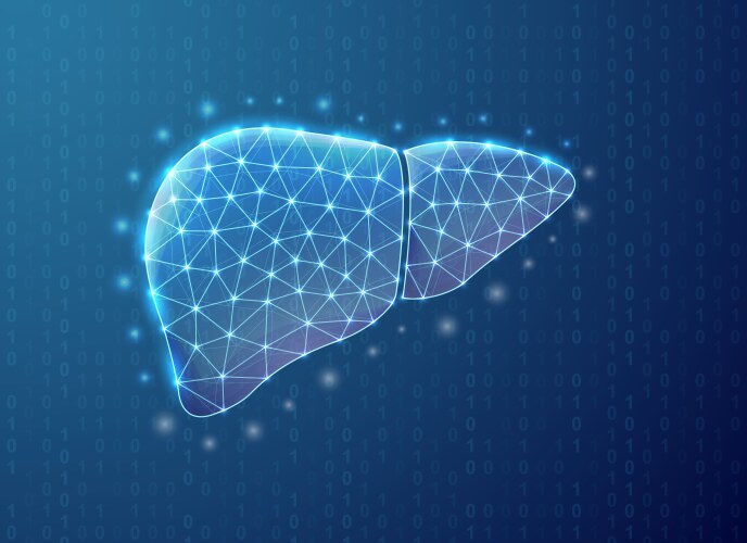 Liver 3d polygonal website template hepatitis Vector Image