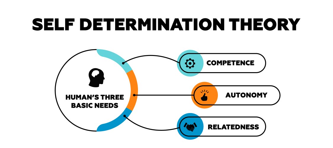 Self determination theory