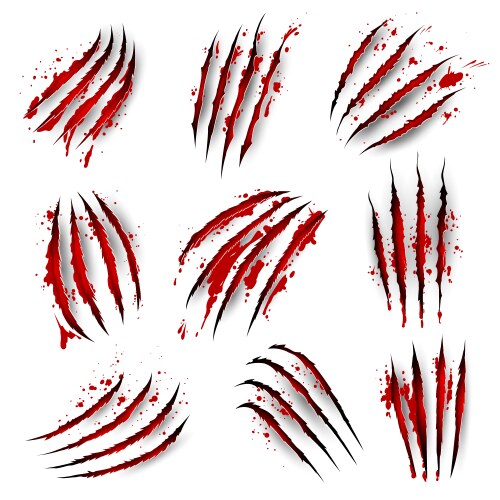 Bear Claw Scratch Vector Images (over 910)