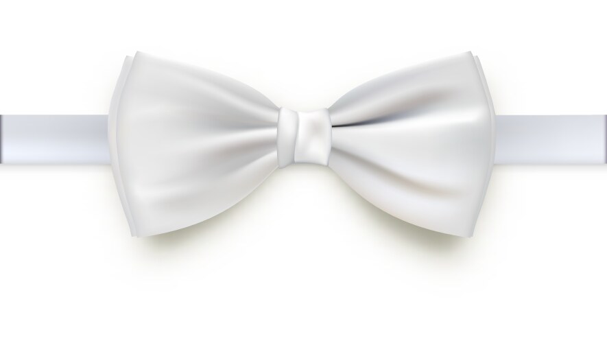 Realistic bow tie Royalty Free Vector Image - VectorStock