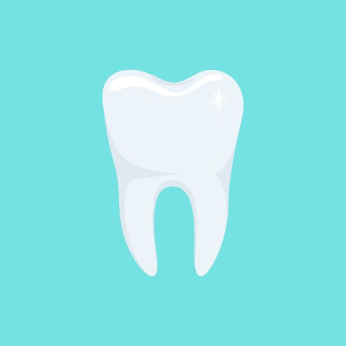 Tooth Royalty Free Vector Image - VectorStock