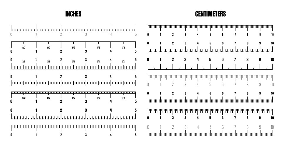 Inch and metric rulers centimeters inches Vector Image
