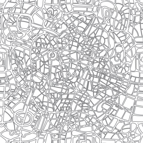 Map of lexington city urban grayscale poster road Vector Image