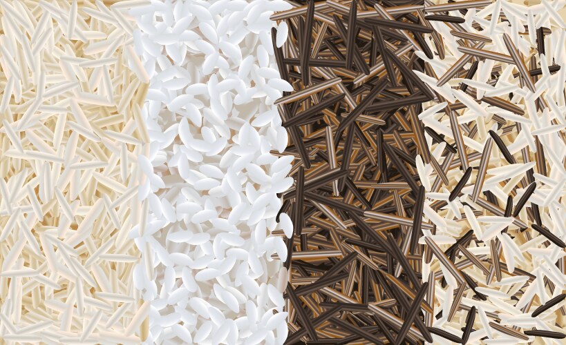 Mixed Rice Vector Images (over 810)