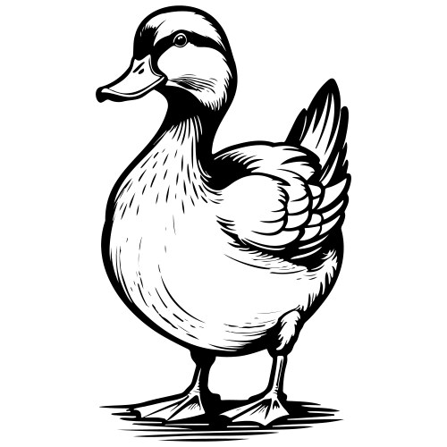 Duck monochrome hand drawn line transparent Vector Image