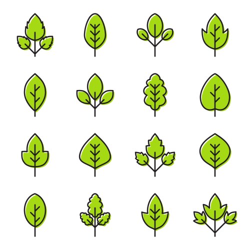Flower icons Royalty Free Vector Image - VectorStock