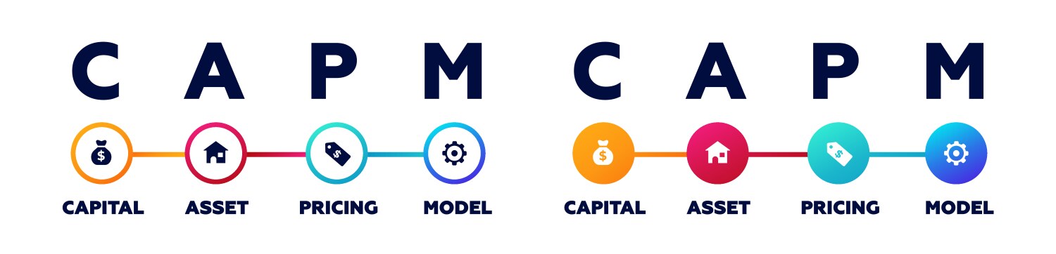 Capm diagram business model for diversification Vector Image