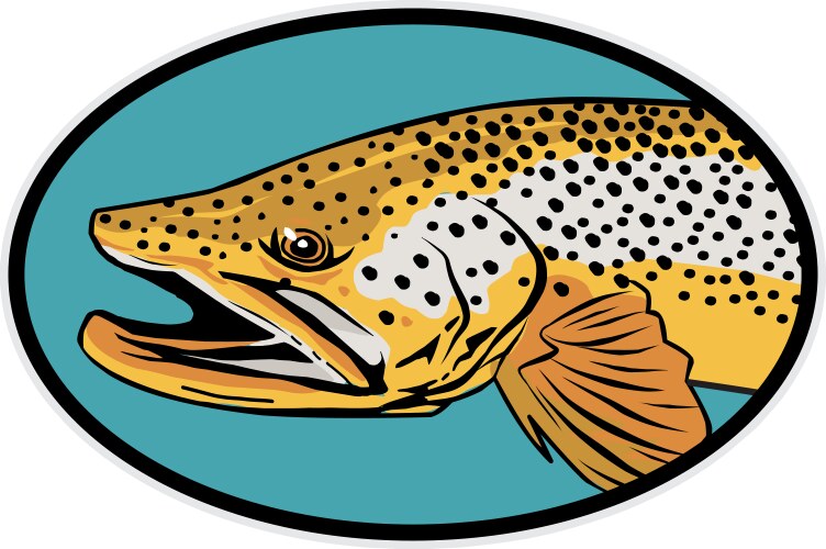 Trout fishing template Royalty Free Vector Image
