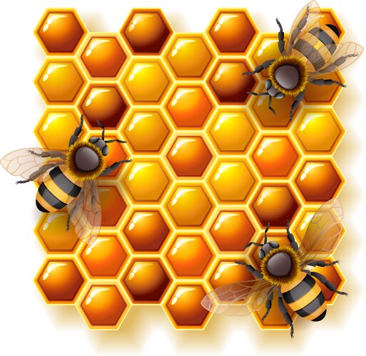 Honey Vector Images (over 110,000)