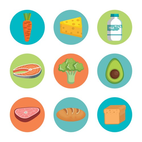 Food Royalty Free Vector Image - VectorStock