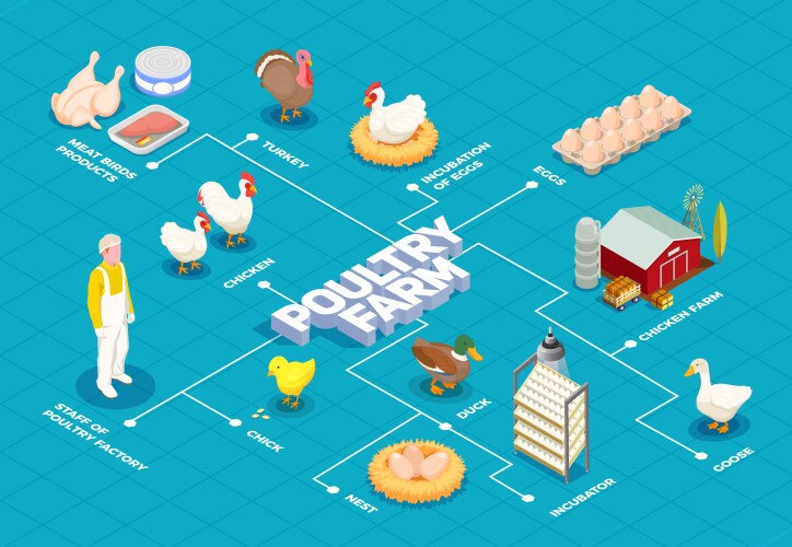 Poultry farm design concept Royalty Free Vector Image