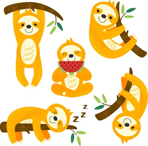 Cute sloths funny sleepy sloth isolated wild Vector Image