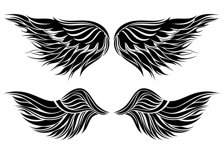 Wing set Royalty Free Vector Image - VectorStock