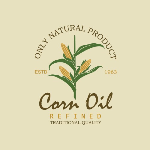 Maize plant diagram infographic elements Vector Image