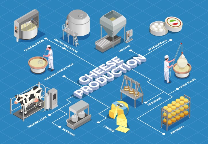 Cheese production isometric infographics Vector Image