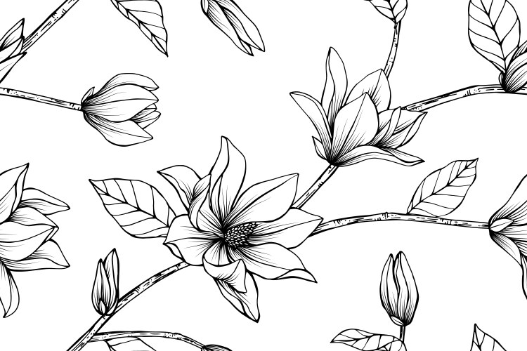 Magnolia flower drawing Royalty Free Vector Image