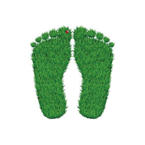 Ladybug Vector Images (over 24,000)