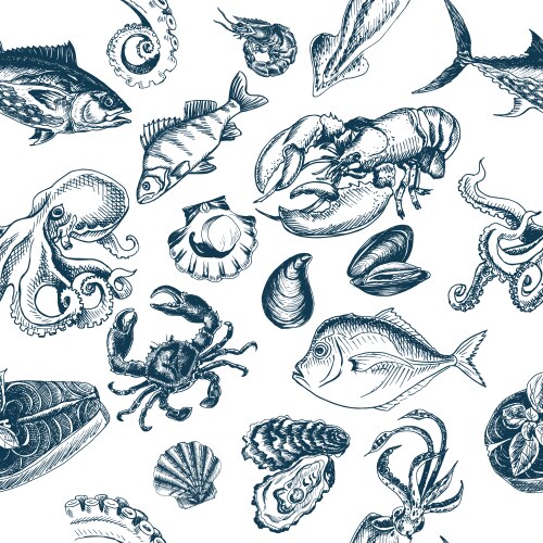 Sketch seafood lobster shellfish fish shrimp Vector Image