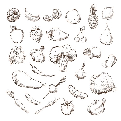 Fruits Drawing Vector Images (over 170,000)