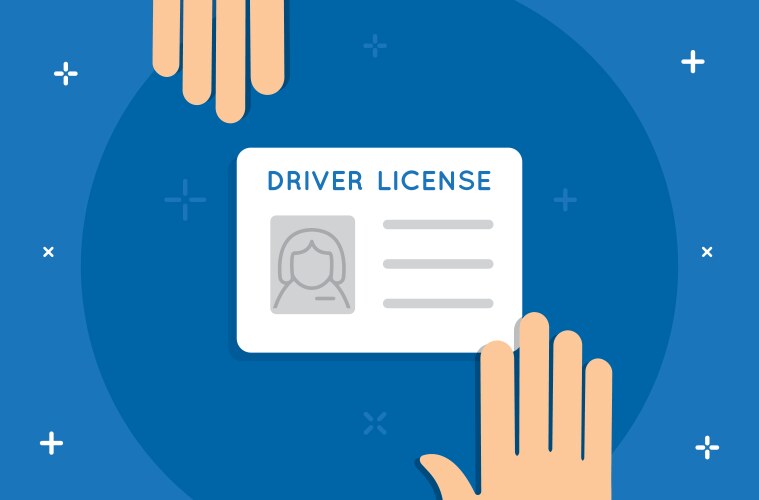 Drivers License Vector Images (over 4,800)