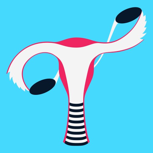 Picture of Female Reproductive System Vector Images (over 100)