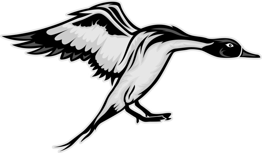 Duck Hunting Vector Images (over 6,900)