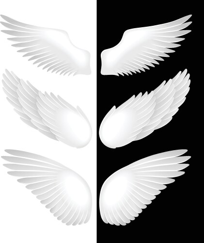 Wings Vector Images (over 500,000)